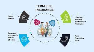 What is term life insurance?